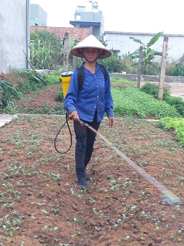Caught in the pesticide treadmill: Voices from Vietnam – Pesticide ...