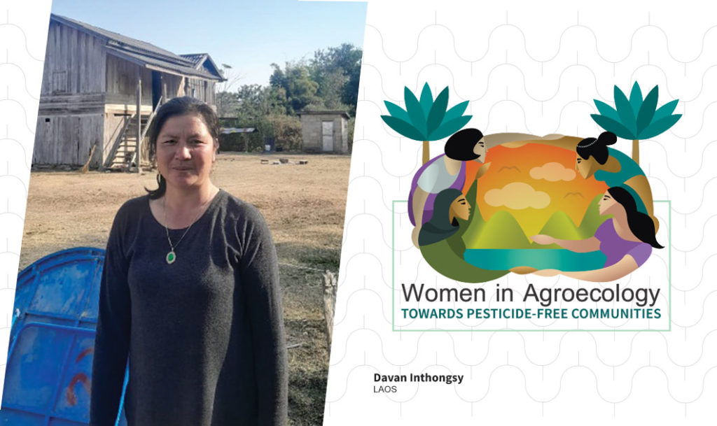 Wanting out of the toxic cycle: Davan Inthongsy, Laos – Pesticide ...