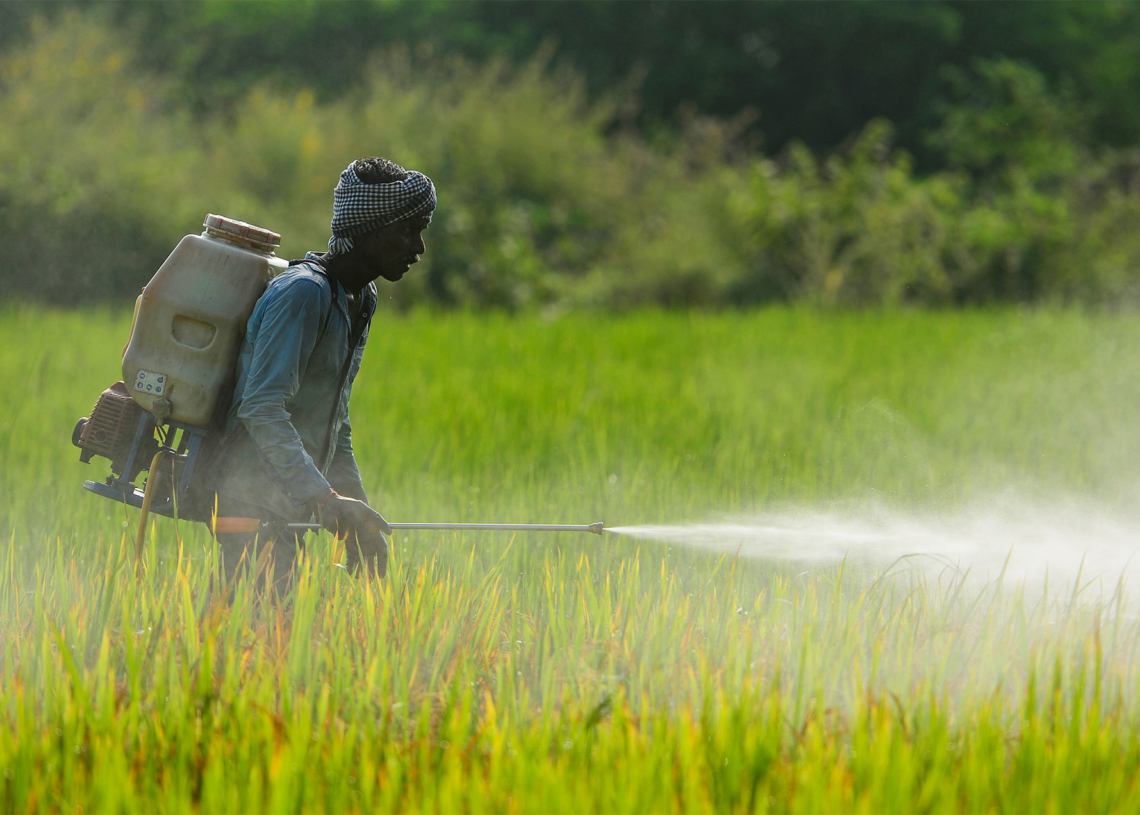 Ban Highly Hazardous Pesticides – Pesticide Action Network Asia Pacific